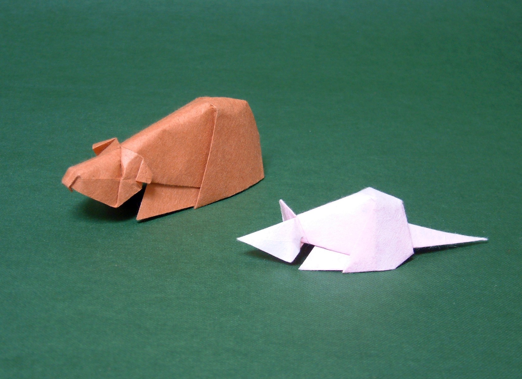 Guinea pig and mouse | David Brill