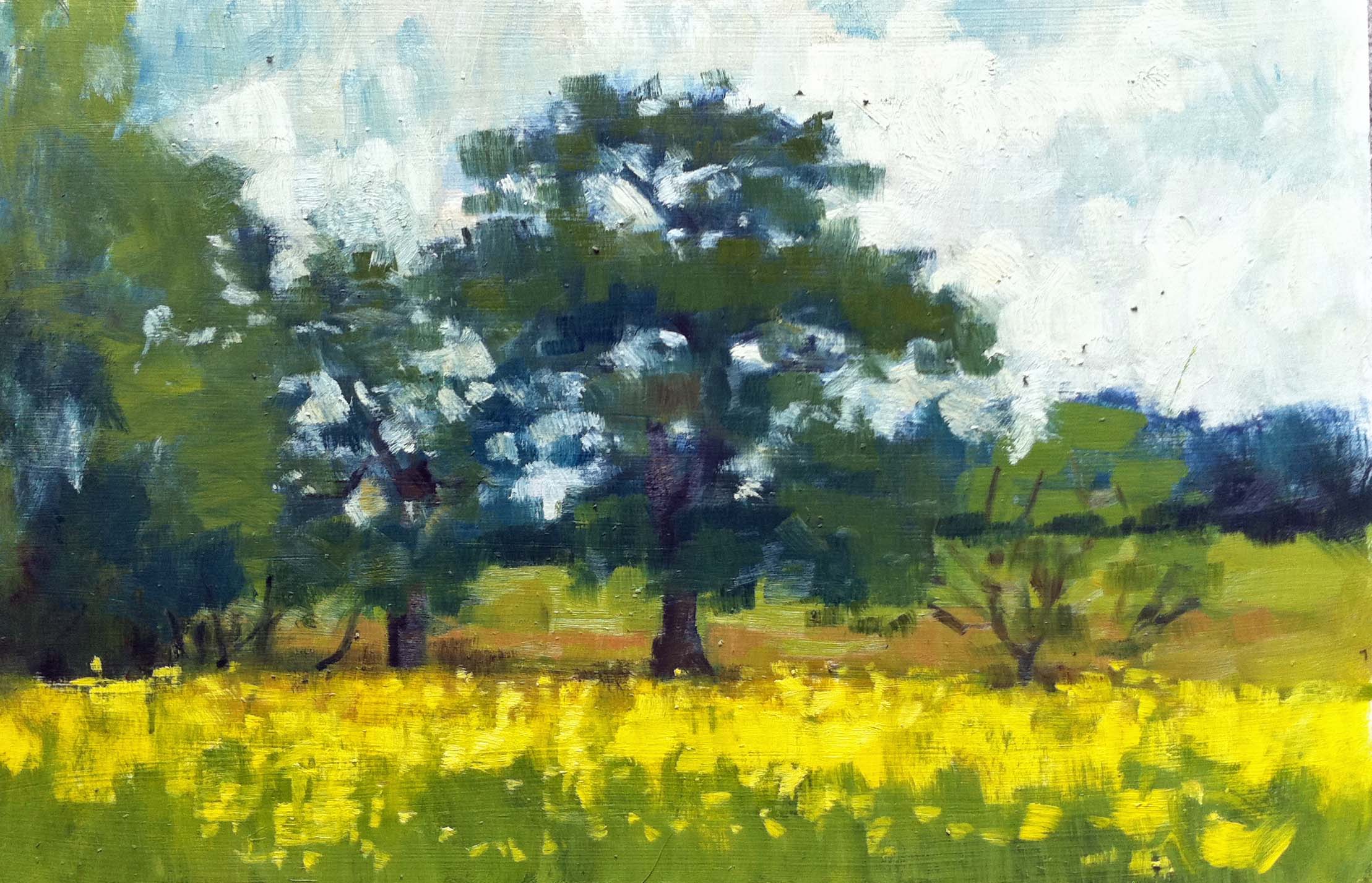David Brill