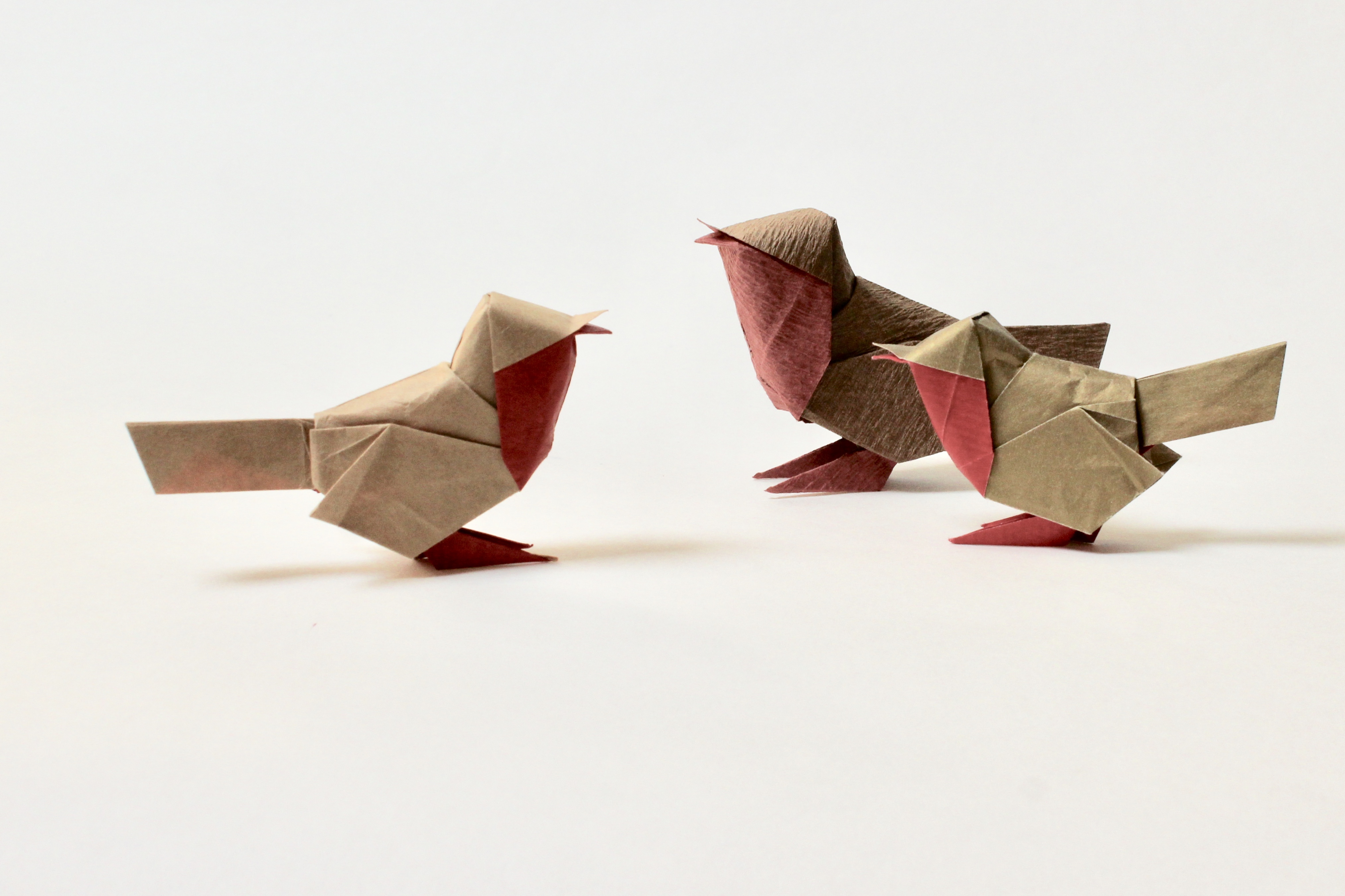 New origami diagrams | David Brill